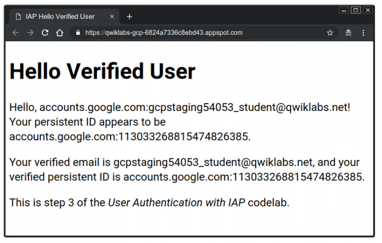 User Authentication Identity Aware Proxy Learning And Doing