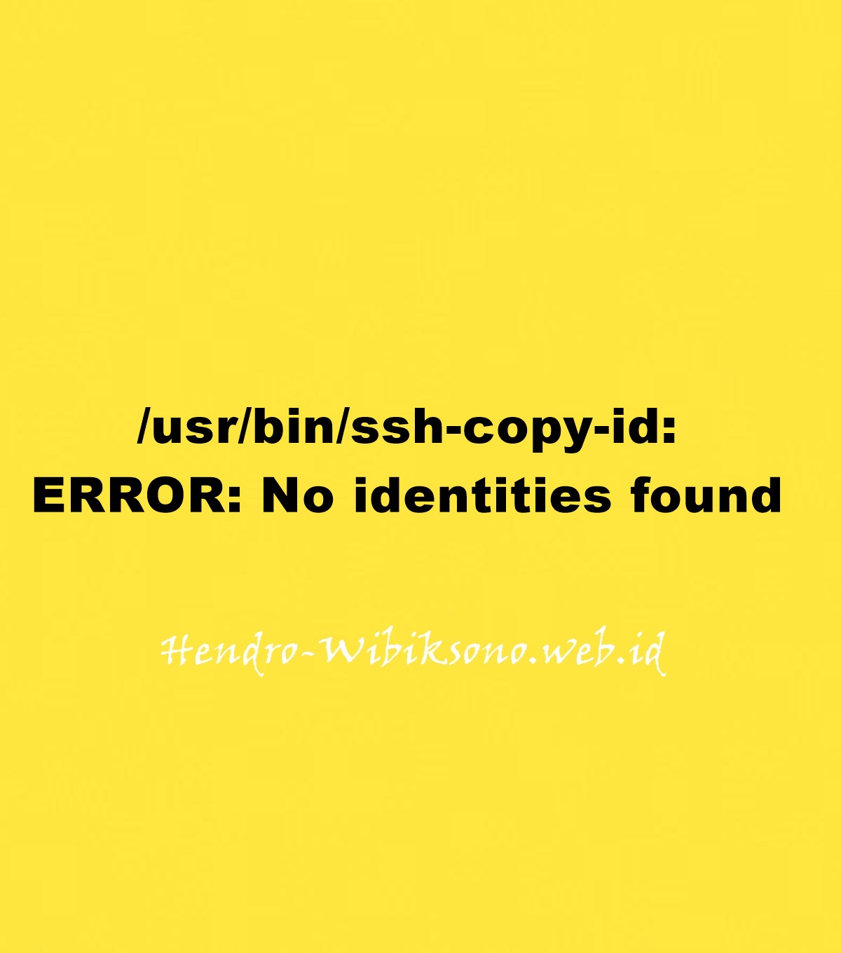 /usr/bin/ssh-copy-id: ERROR: No Identities Found